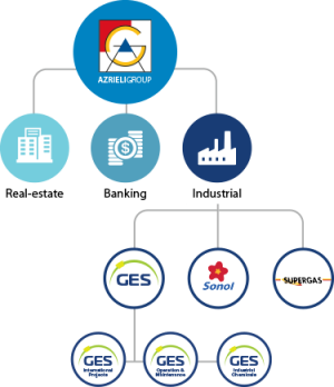 Company structure - GES